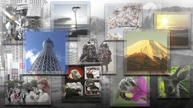 Watch Live TV | NHK WORLD-JAPAN